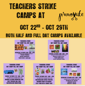 Engaging Strike Camps / PD Day Camps - Pinnovate Calgary